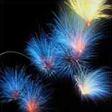 The Biggest Firework Display? How Many Used Yearly? And More Fun Facts!